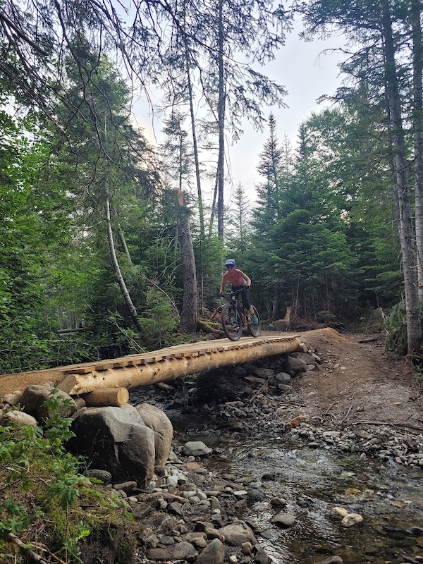 Duncan's Multi-Directional Trail Mountain Biking Trail - Corner Brook