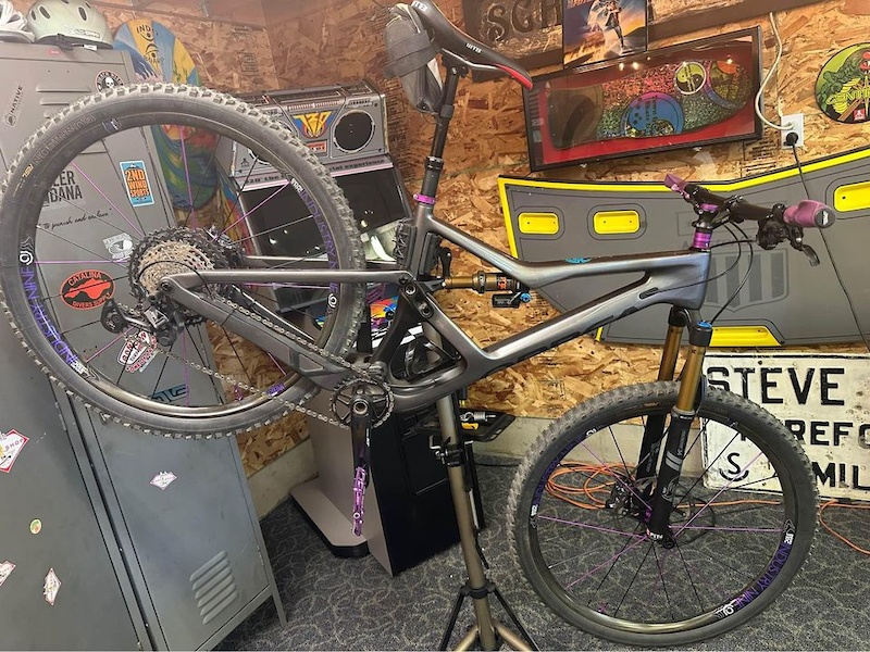 2020 Beautiful custom Orbea Occam For Sale