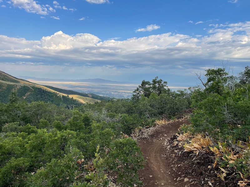 Maple Syrup Multi Trail - Bountiful, UT | Trailforks