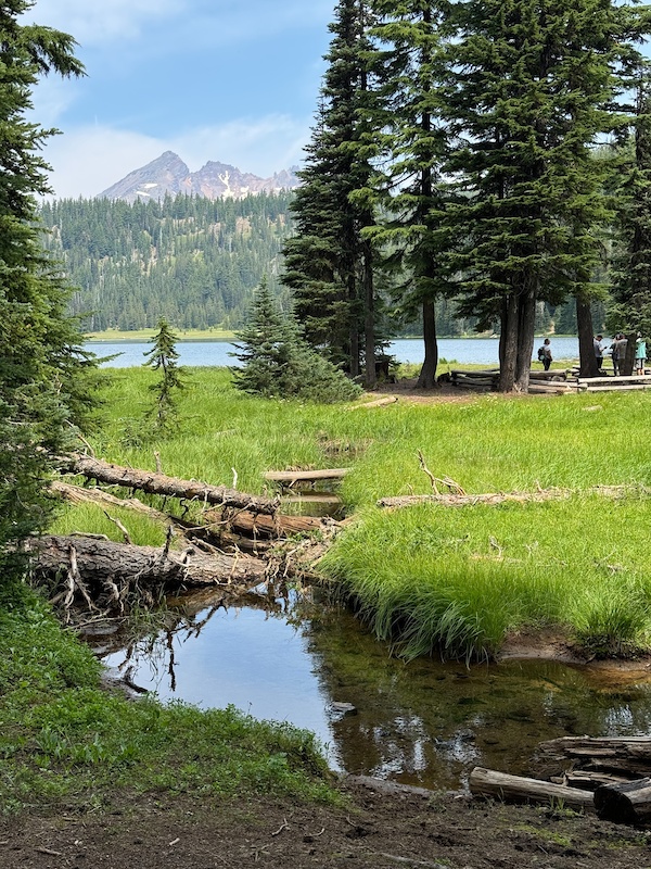 Todd Lake Nordic Skiing Trail - Bend, Oregon
