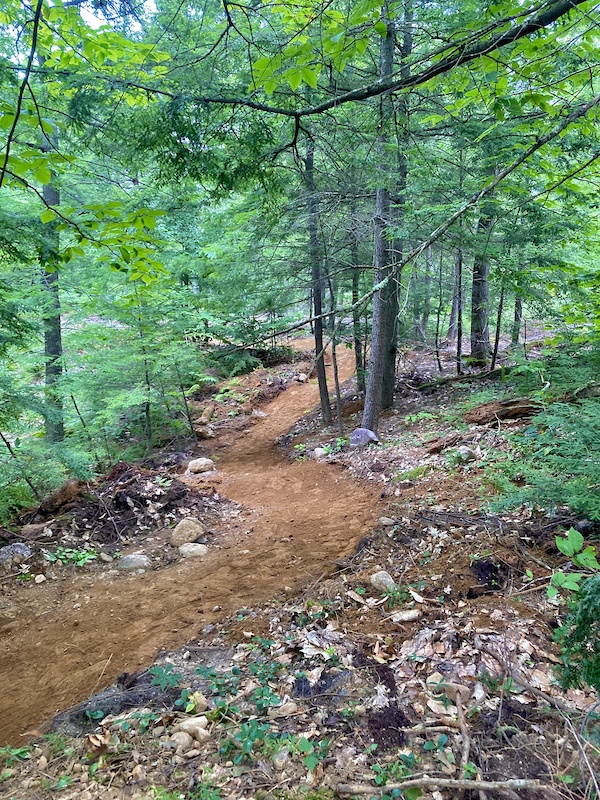 East Windham Conservation Area, Windham Mountain Biking Trails | Trailforks
