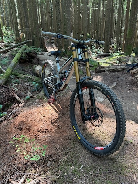 2024 New custom build Transition TR11 XL For Sale