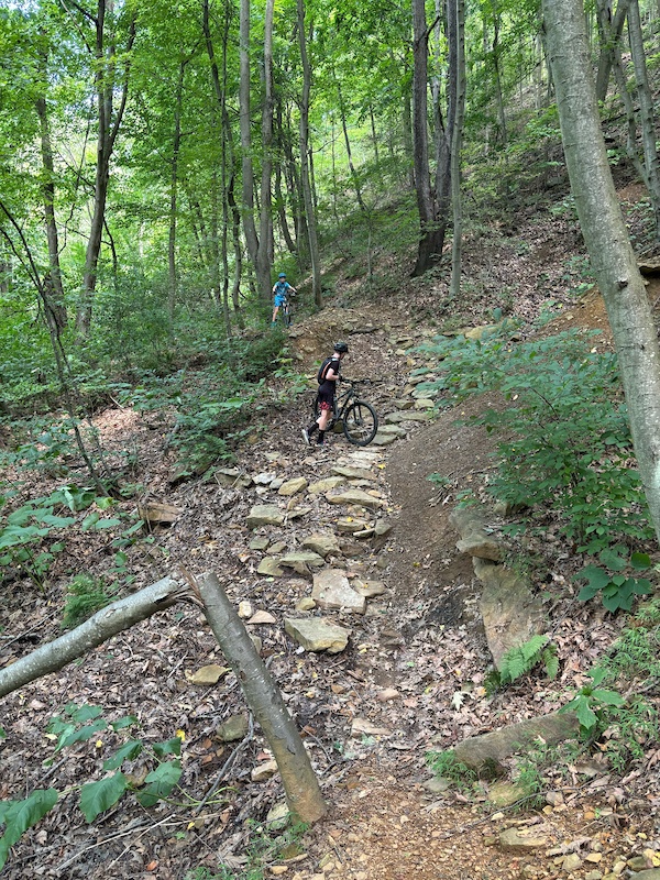 Roaring Run Trails, Vandergrift Mountain Biking Trails | Trailforks