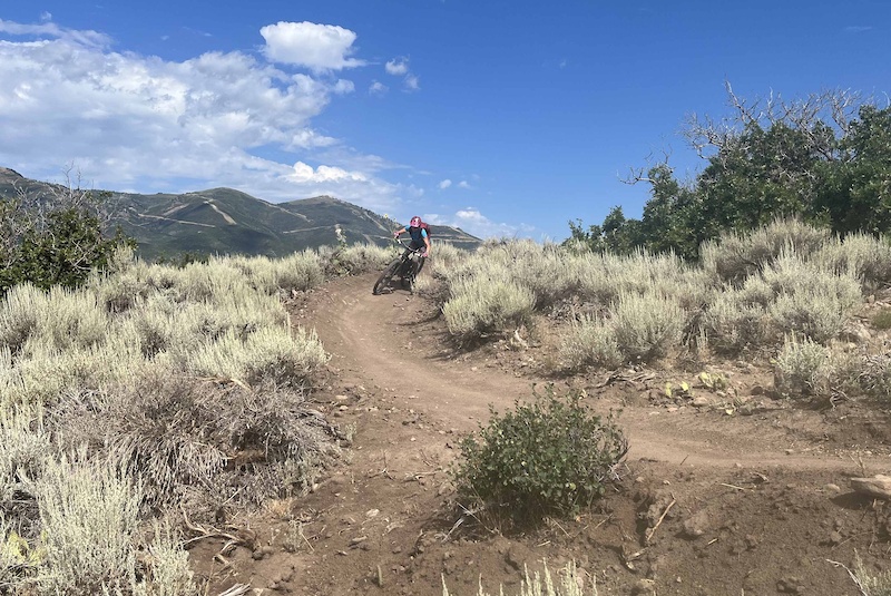 Upper Frodo's Mountain Biking Trail - Heber City, Utah