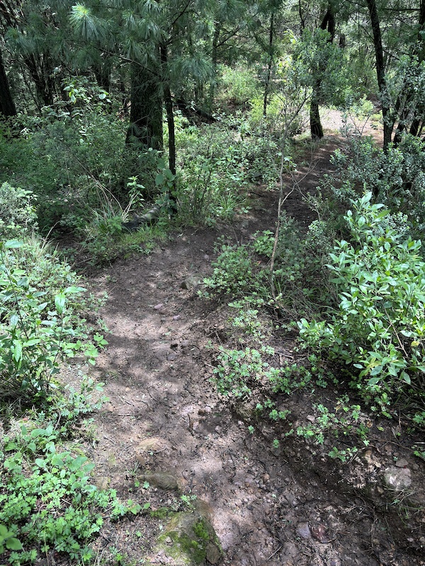 A Tres Piedras Multi Trail - San Nicolás Totolapan