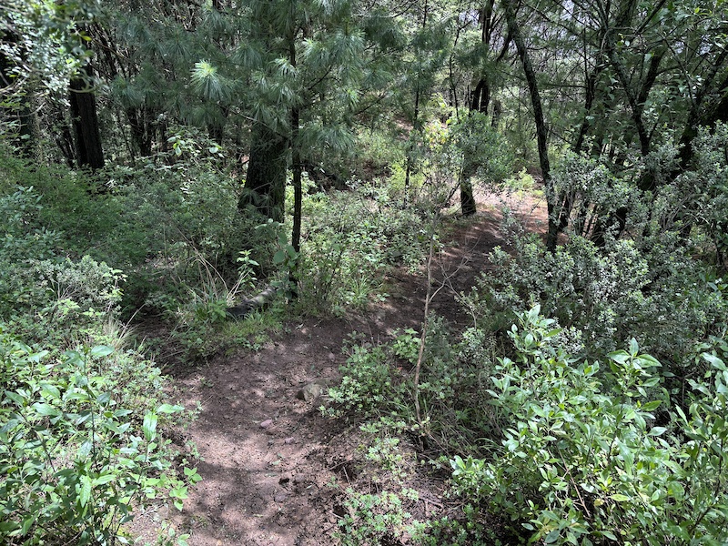 A Tres Piedras Multi Trail - San Nicolás Totolapan