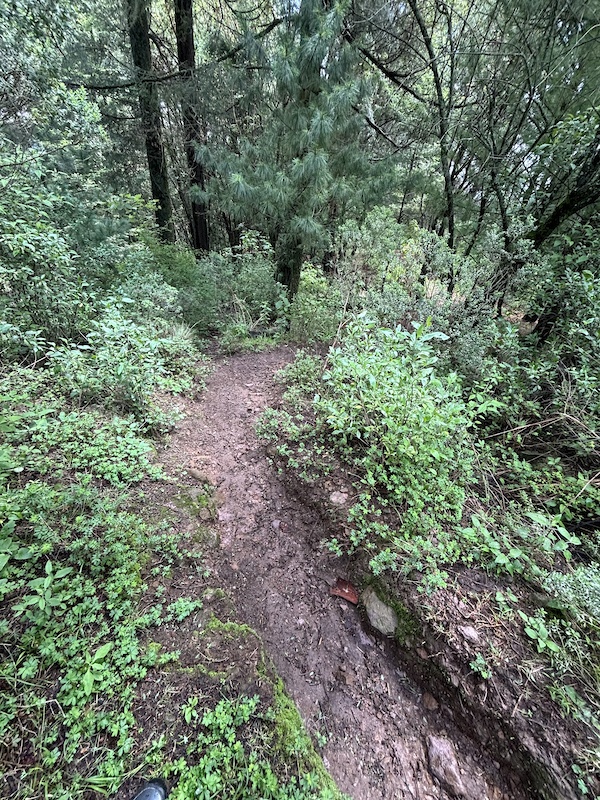 A Tres Piedras Multi Trail - San Nicolás Totolapan