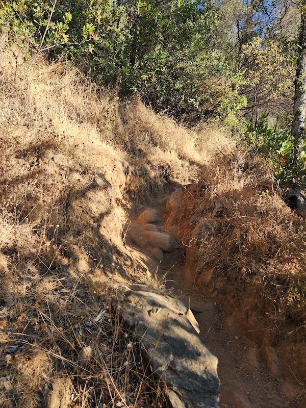 Cardiac Trail Hiking Trail - Auburn, California