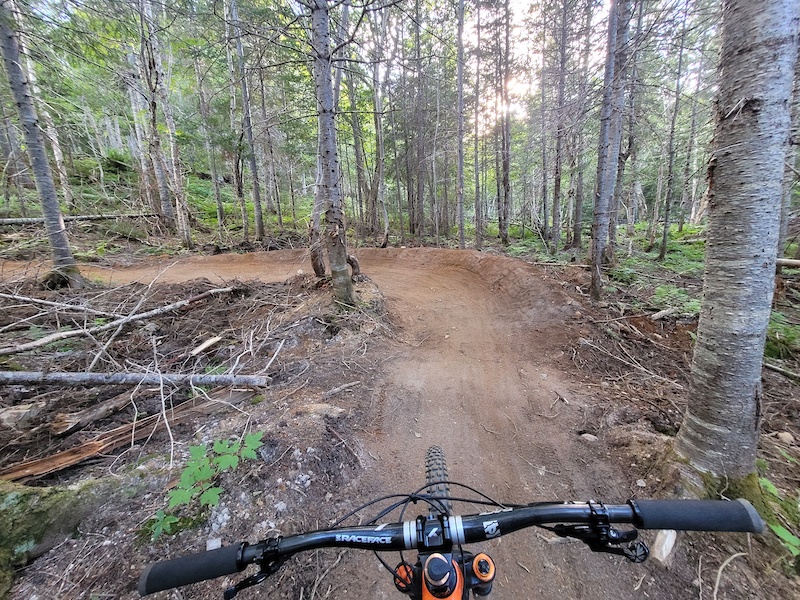 Duncan's Multi-Directional Trail Mountain Biking Trail - Corner Brook