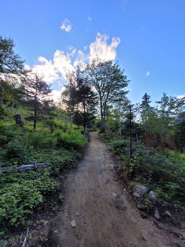 Duncan's Multi-Directional Trail Mountain Biking Trail - Corner Brook