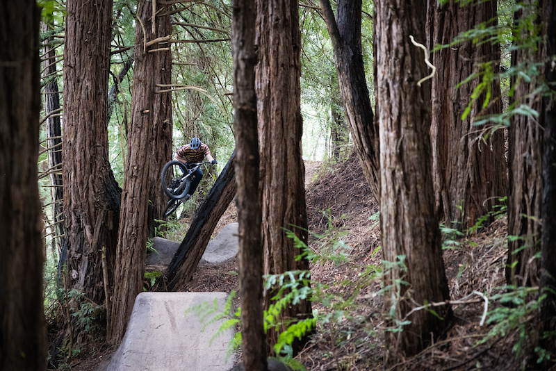 Video: Christian Rigal's Stunning Backyard Build in 'Carpal Tunnel ...