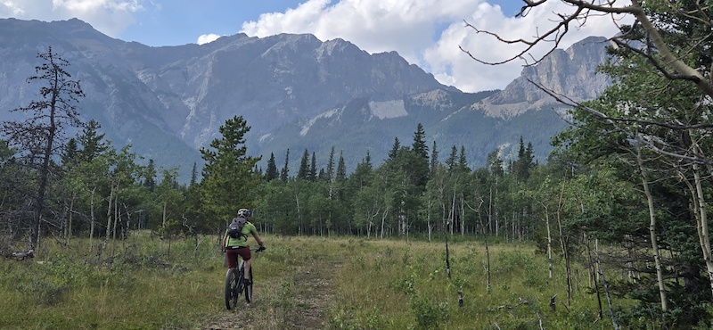 Yamnuska Natural Area Trails Multi Trail - Canmore