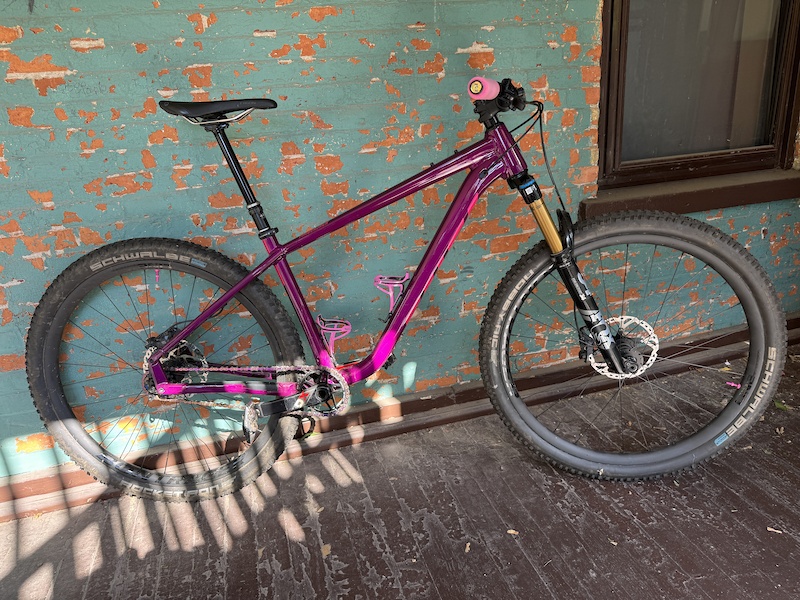 2023 Salsa Timberjack Large custom build For Sale