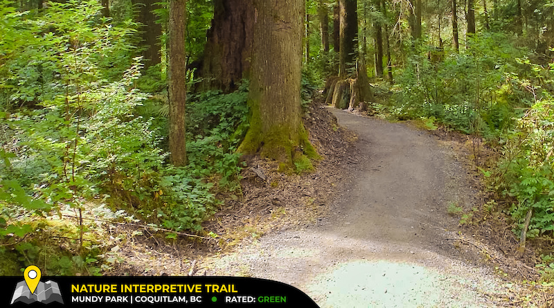 Nature Interpretive Trail Multi Trail - Coquitlam, BC