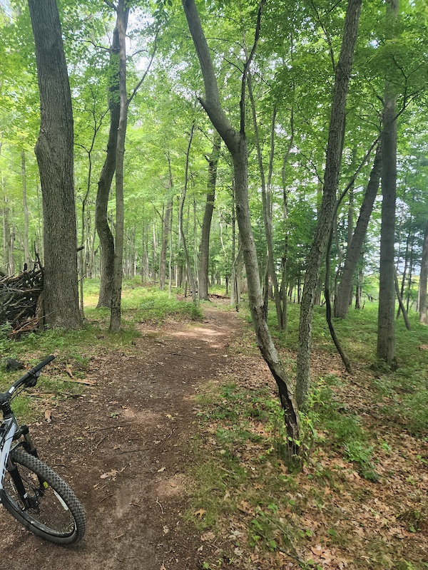 Tobico Marsh Trail Multi Trail - Bay City, Michigan