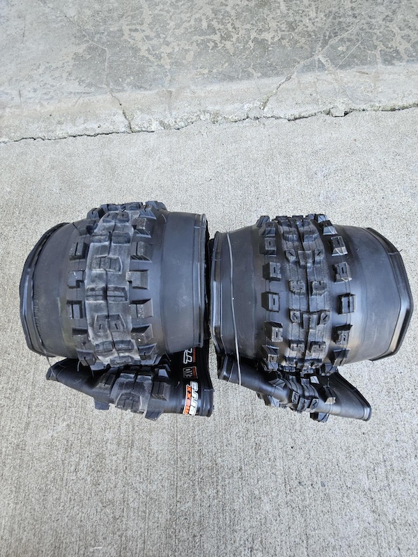 Maxxis Minon DHR II and Dissector 29 x 2.4 Free Ship For Sale