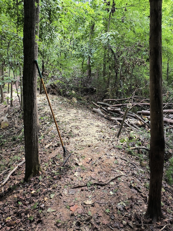Burl Oak Mountain Biking Trail - Greensboro, NC
