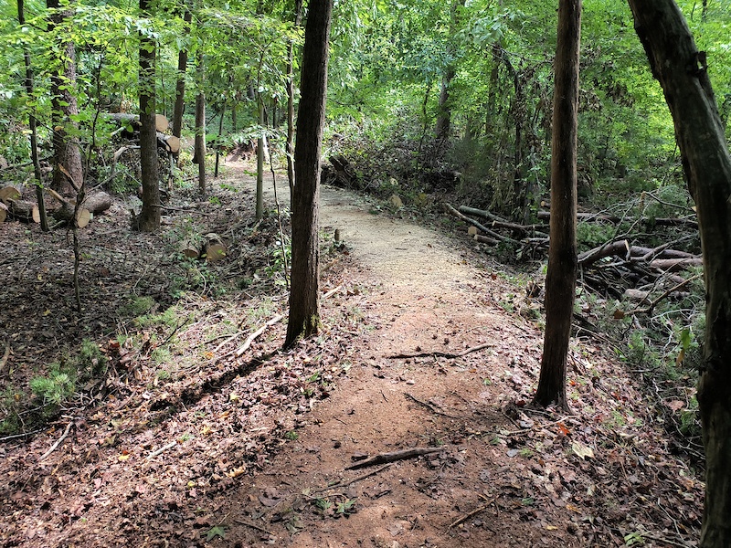 Burl Oak Mountain Biking Trail - Greensboro, NC