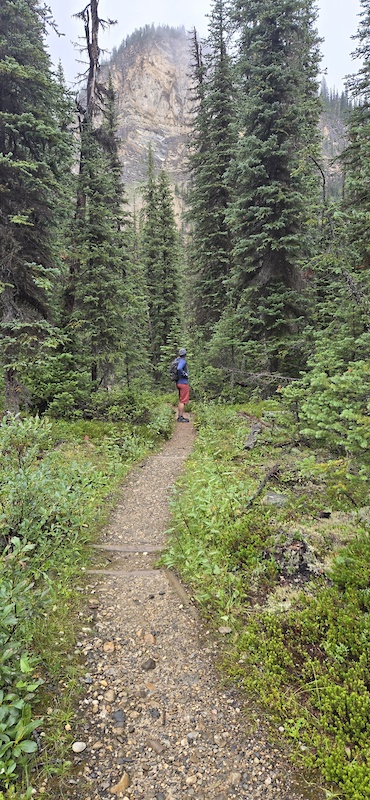 Little Yoho Valley Hiking Trail - - British Columbia