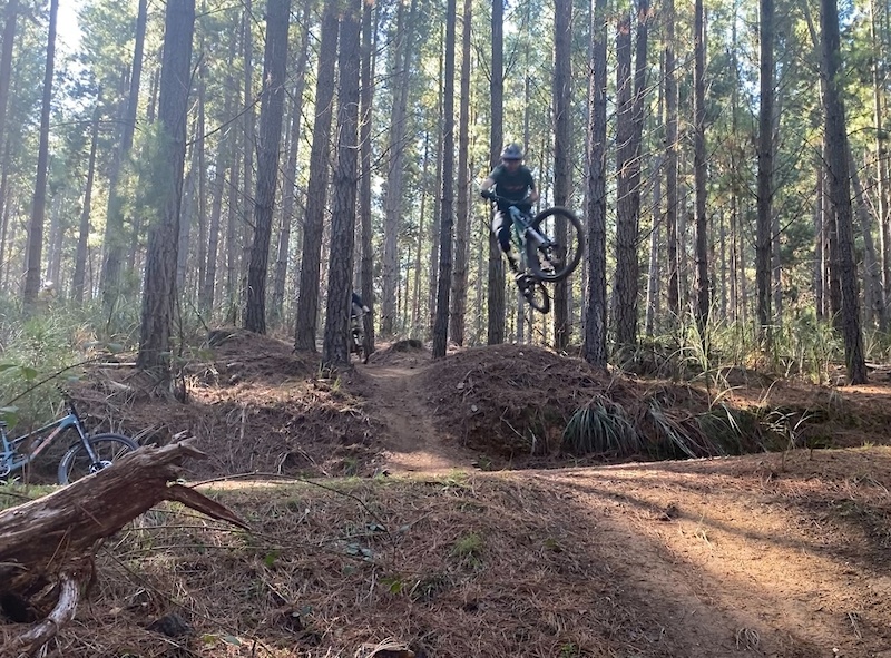 Djuwang Baring, Creswick Mountain Biking Trails | Trailforks