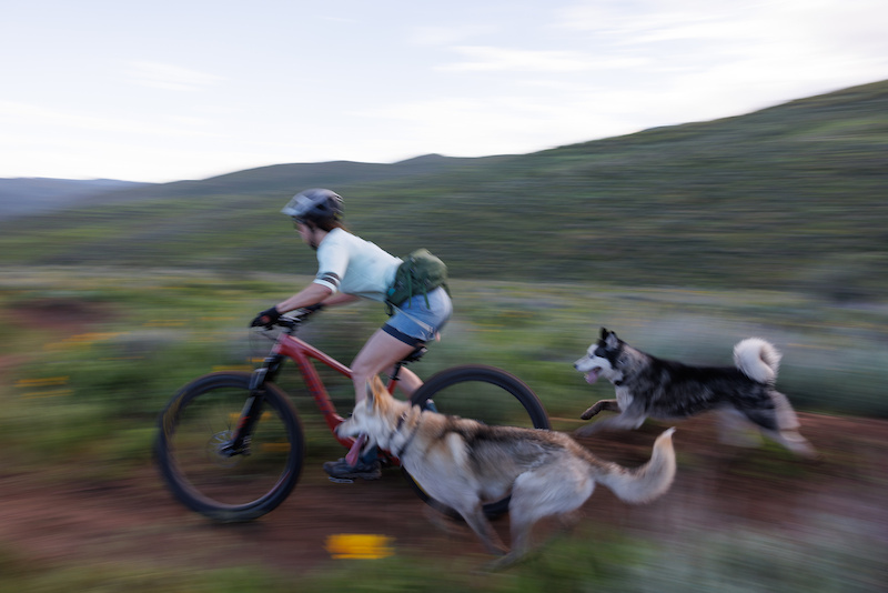 Review: The Adventure Dog Channel - Training the Ultimate Trail Dog ...