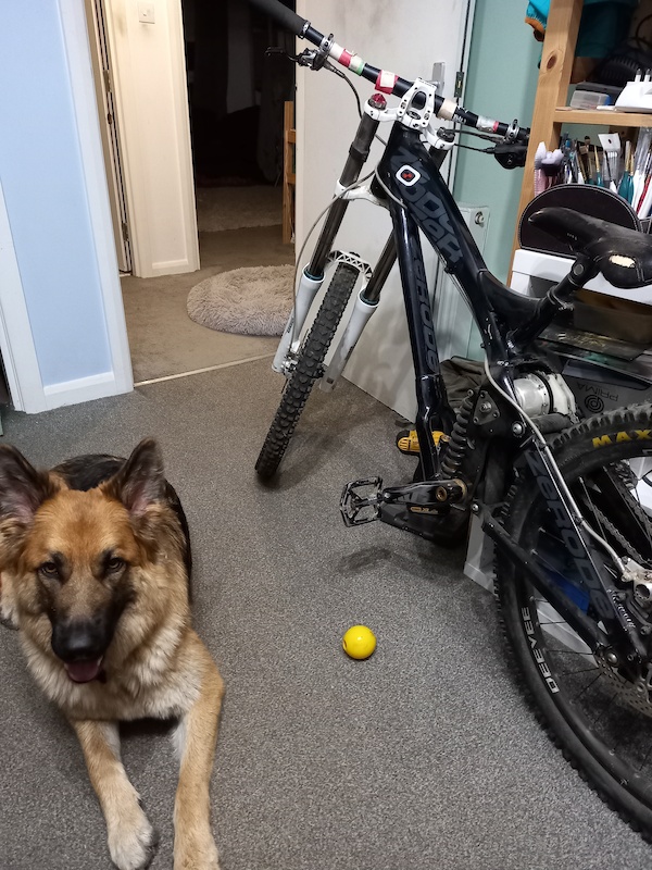 2013 Zerode G2 Small Complete Bike (rare) For Sale