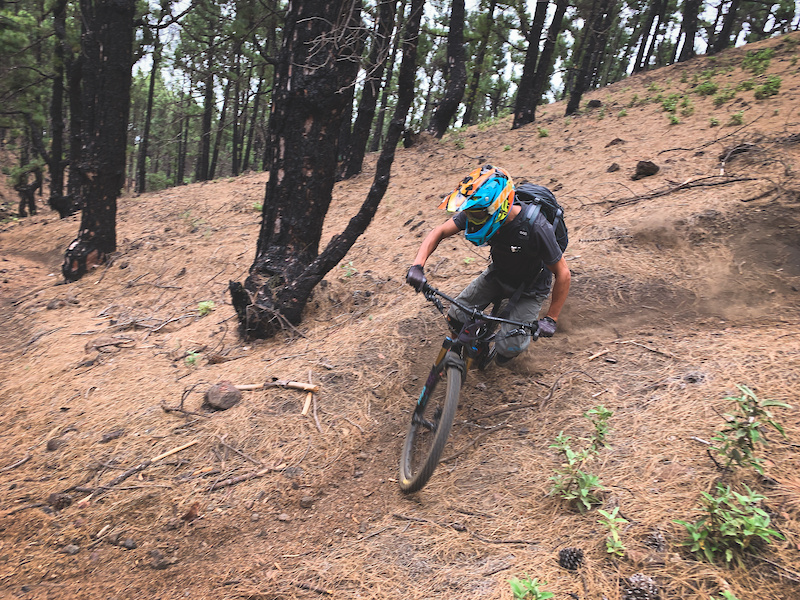 El Gallo Mountain Biking Trail - Tazacorte | Trailforks