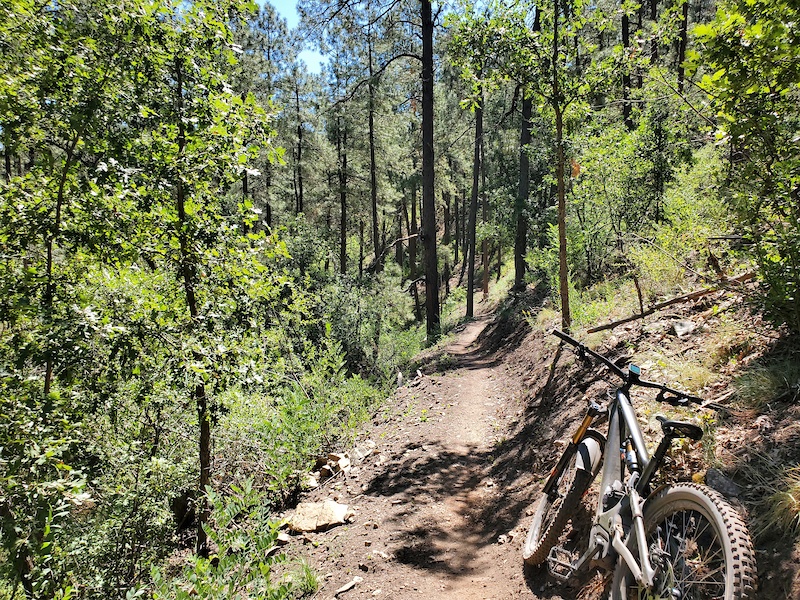 Quaky Trail Multi Trail - Prescott, Arizona | Trailforks