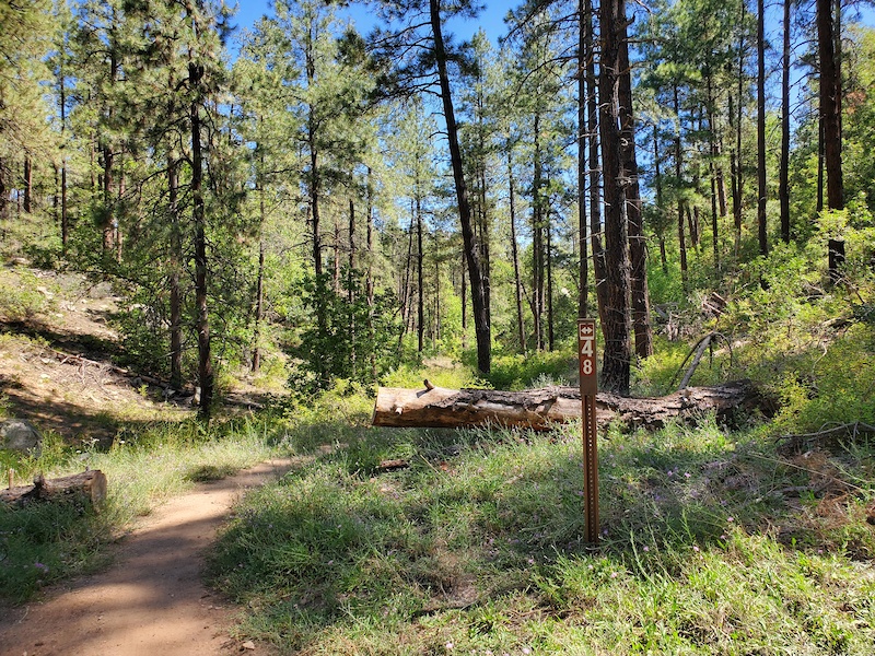 Quaky Trail Multi Trail - Prescott, Arizona | Trailforks