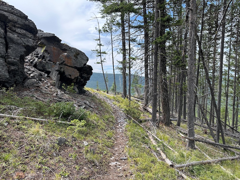Bold Ridge Mountain Biking Trail - Marion, MT