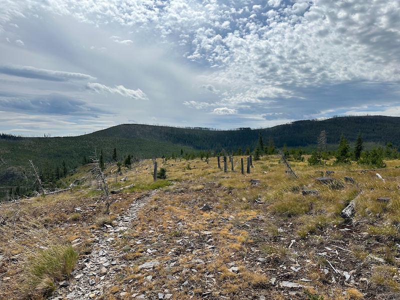 Bold Ridge Mountain Biking Trail - Marion, MT