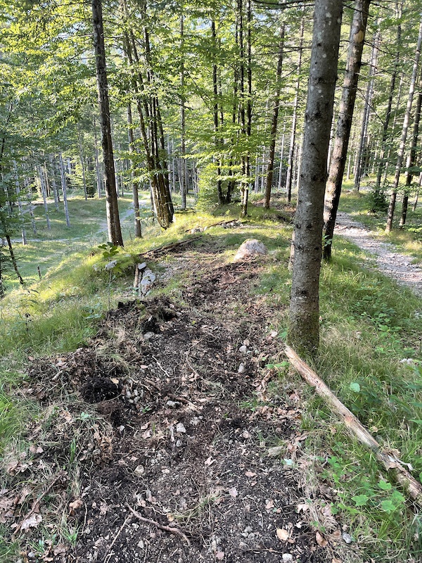 Billy Bonka Mountain Biking Trail - Obertraun