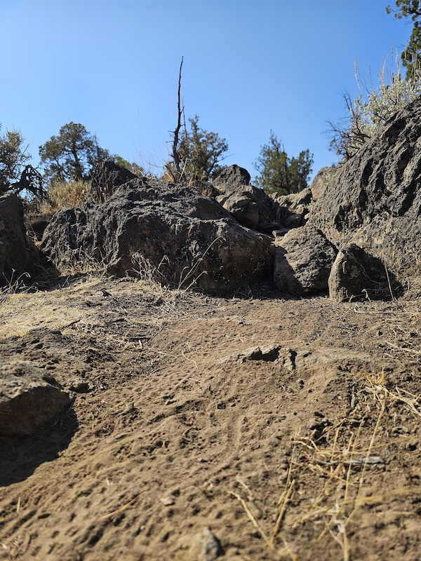 Rattler Mountain Biking Trail - Redmond, Oregon