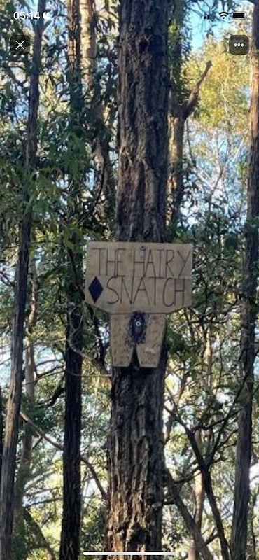 The Hairy Snatch Mountain Biking Trail - Terrigal