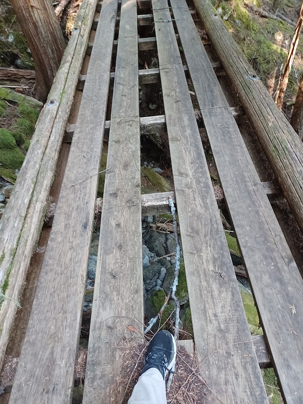 BRT Trail Multi Trail - Powell River, BC | Trailforks