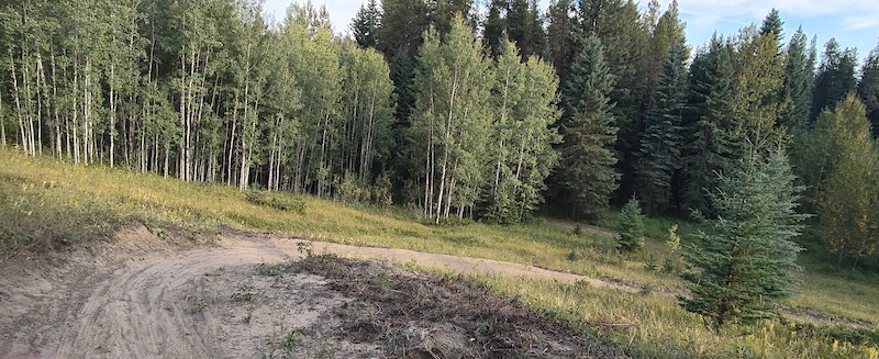 Flying Squirrel Mountain Biking Trail - Edson, Alberta