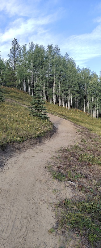Flying Squirrel Mountain Biking Trail - Edson, Alberta