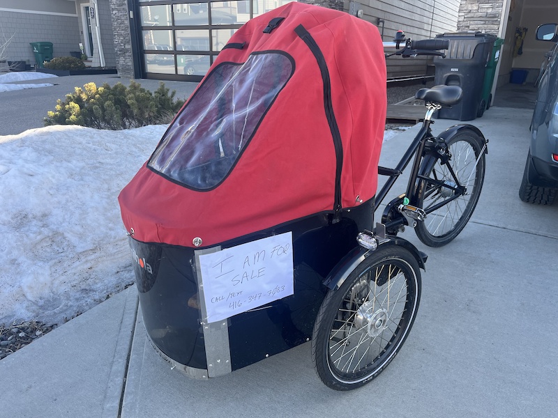 2019 Nihola Family Two-Seat Cargo Bike with Accessories For Sale