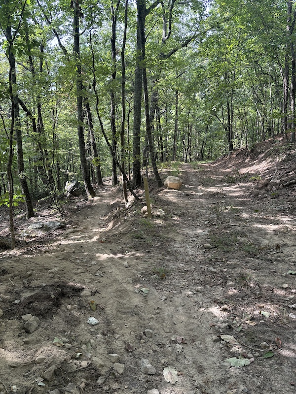 Moonlight holler rd Multi Trail - Chelsea, Alabama