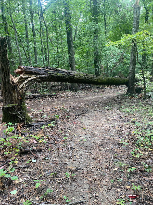 Belcher Byway Multi Trail - Pelham, Alabama | Trailforks