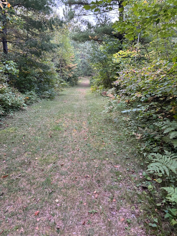 Razorback Ridges Trail Multi Trail - Plum Lake, WI