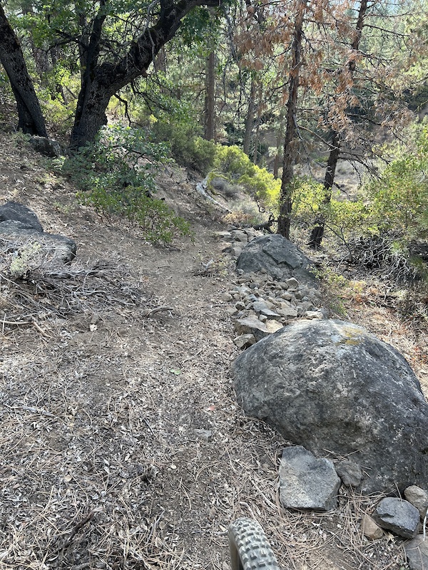 at Bee Line in Blairsden, California, United States - photo by ...