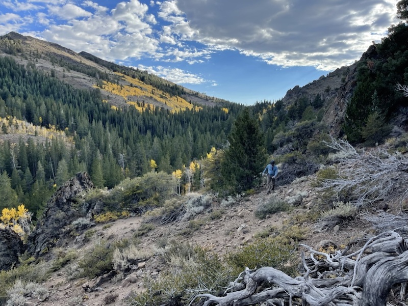 Lost Canon Trail Multi Trail - Walker | Trailforks