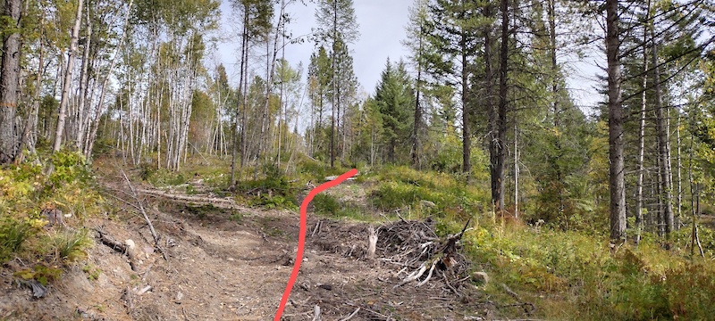 Garnier Creek Forest Service Road (singletrack) Multi Trail - Columbia ...
