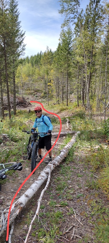 Garnier Creek Forest Service Road (singletrack) Multi Trail - Columbia ...