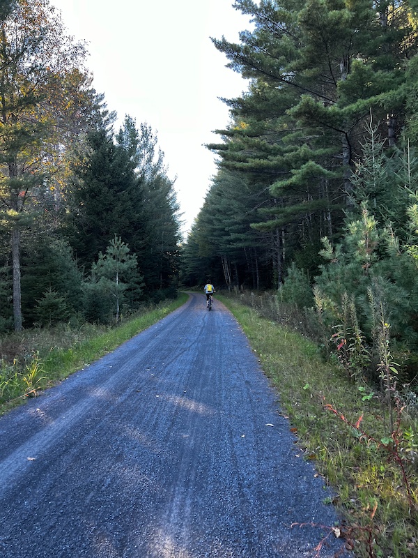 Adirondack Rail Trail - Lake Placid to Saranac Lake Multi Trail - Lake Placid, NY