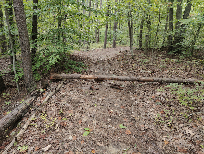 Biscuit Run - Mill Creek Connector Trail Mountain Biking Trail - Mill Creek