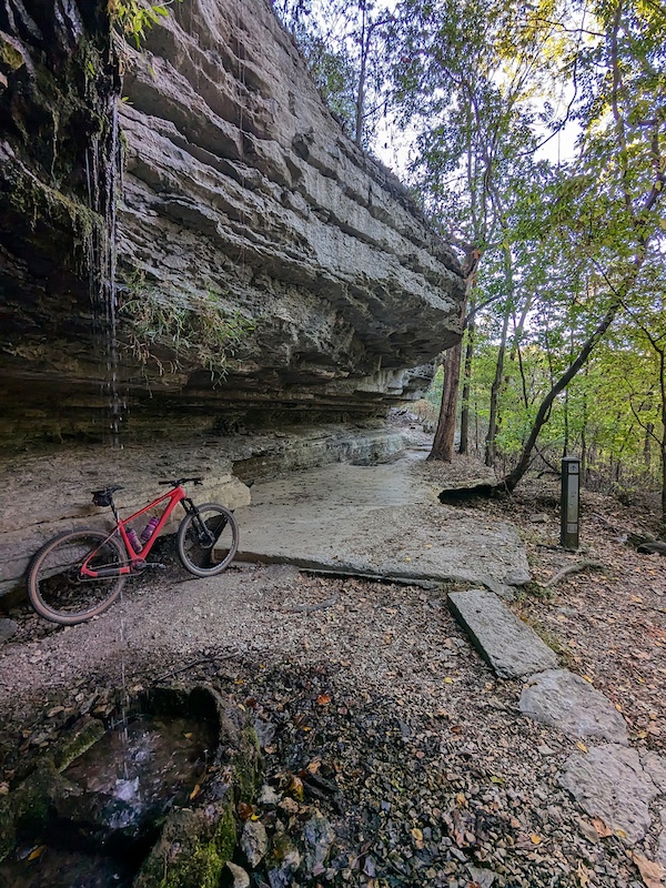 Sally Trail (mid) Mountain Biking Trail - Bella Vista, AR