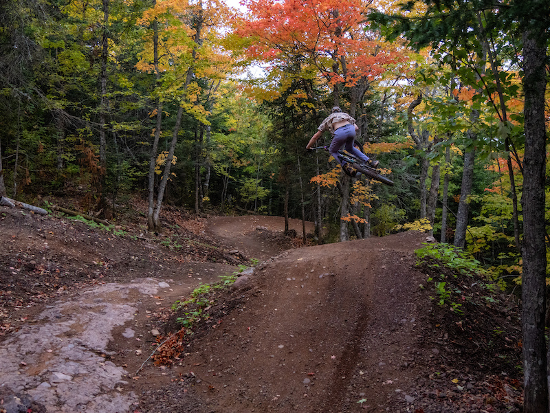 Bermasaurus Mountain Biking Trail - Copper Harbor, MI
