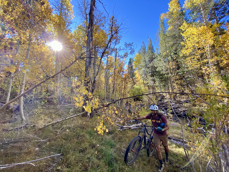 Molybdenite Creek Trail Hiking Trail - South Lake Tahoe, CA